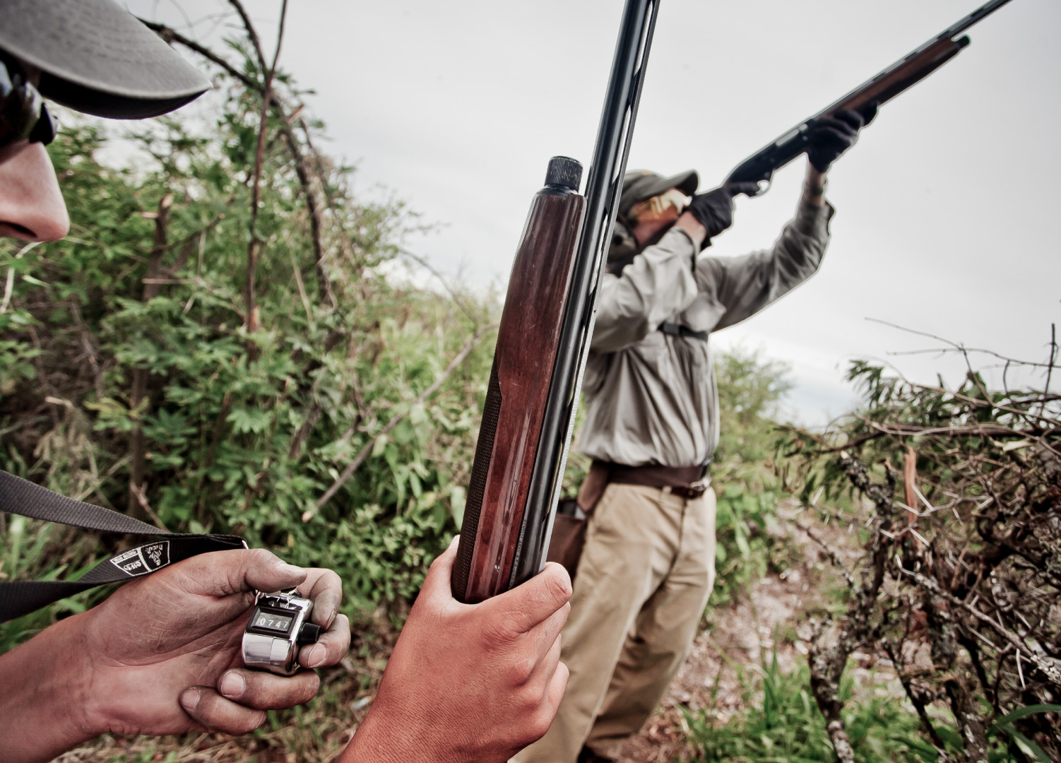 Dove Hunting Tips from Cordoba Experts - H&H